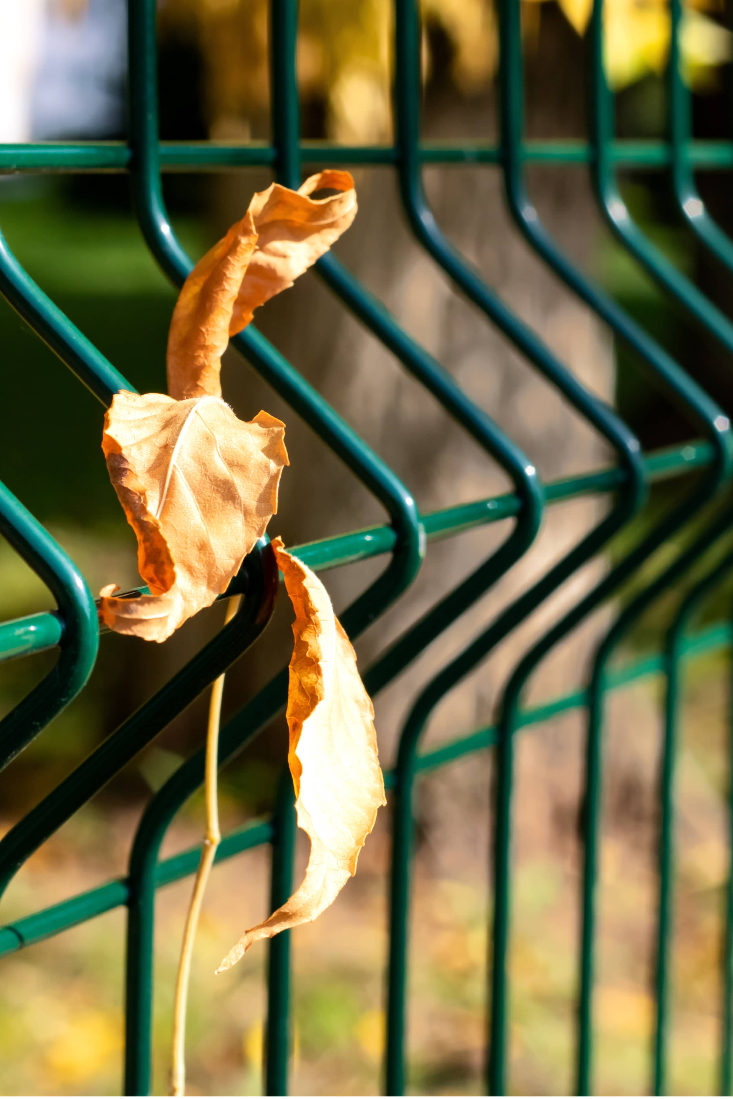 Our Services - DEEZLO Trading CC